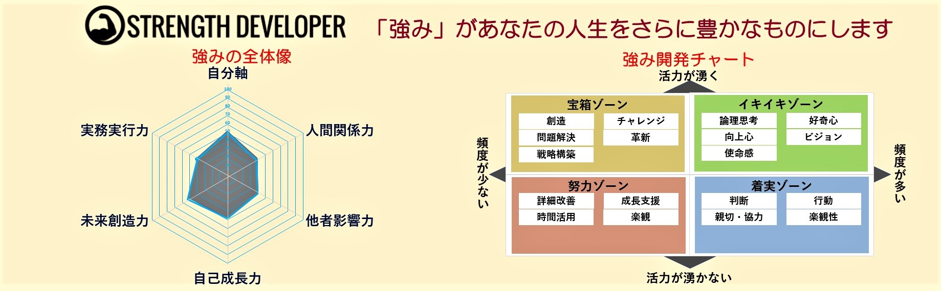 WS036 【強みをもっと増やして行動の幅を広げよう！ ～強み診断開発ツールStrength Developerの新しい考え方です ...